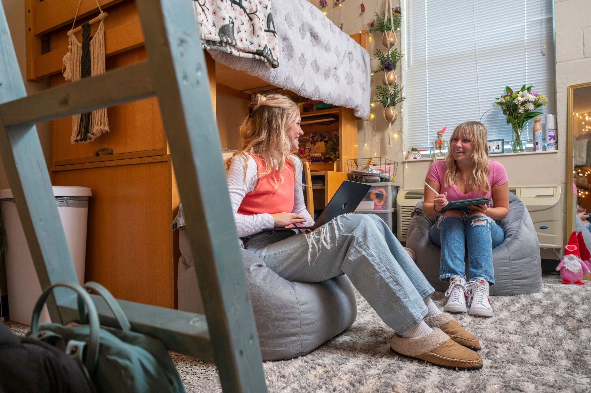 Traditional Undergraduate - University of Saint Francis, Fort Wayne