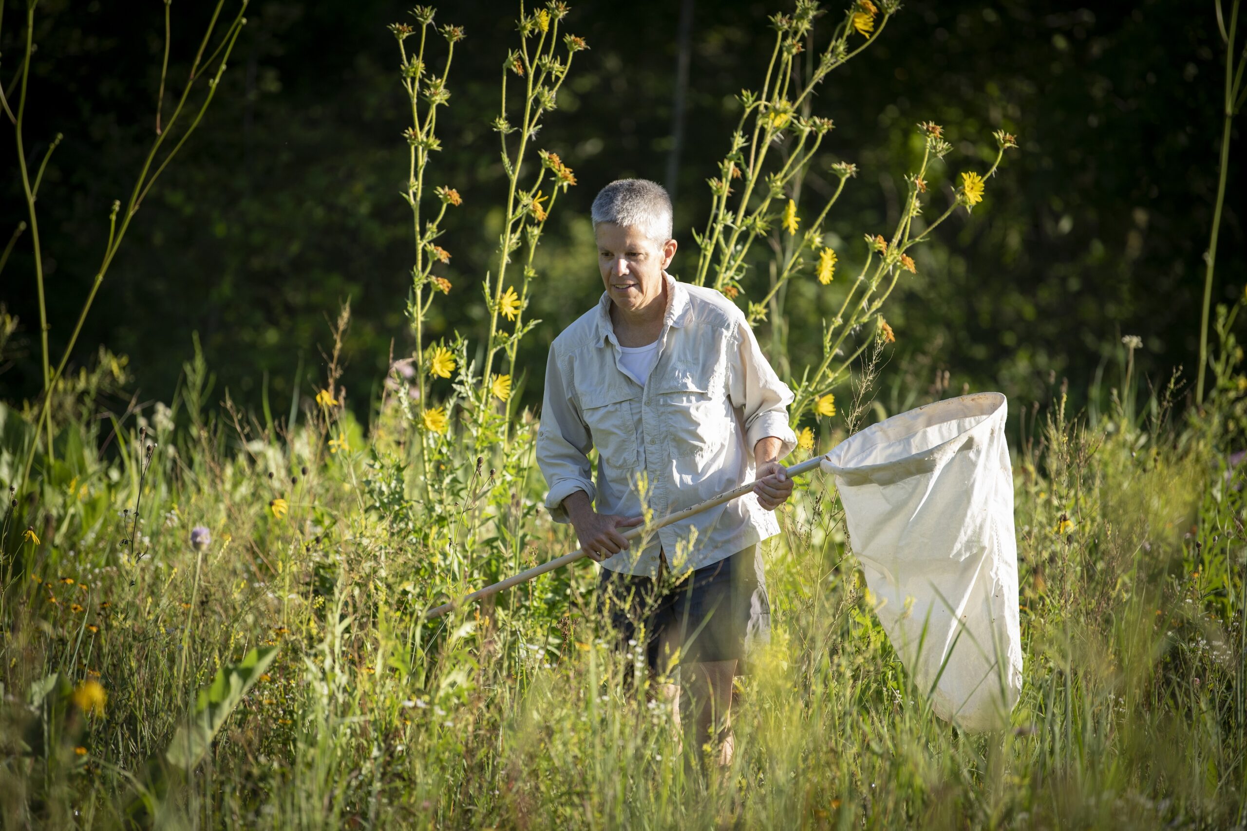 USF professor Dr. Lou Weber included in new book on climate justice ...