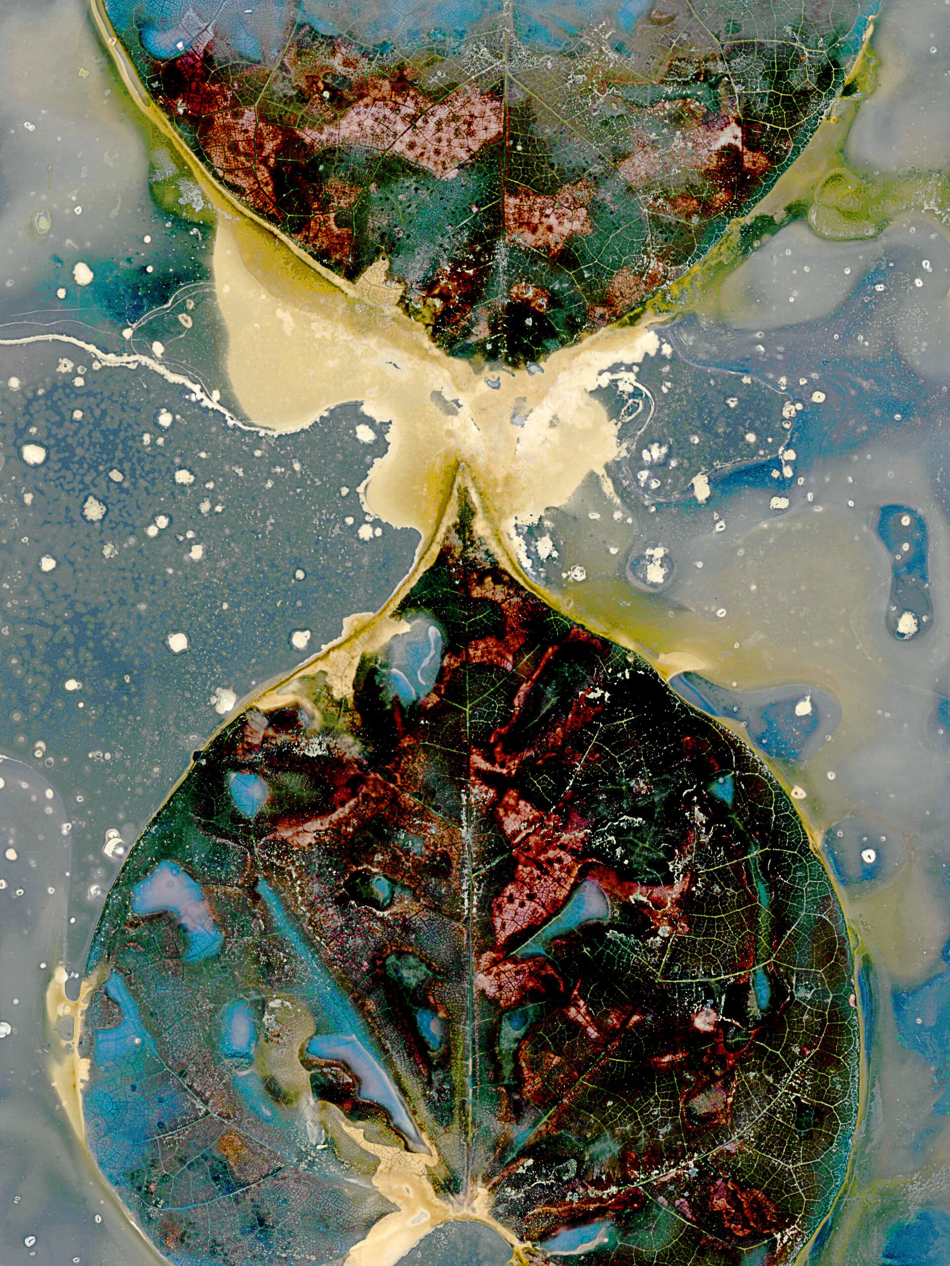 Studio Art (BFA) - University of Saint Francis, Fort Wayne
