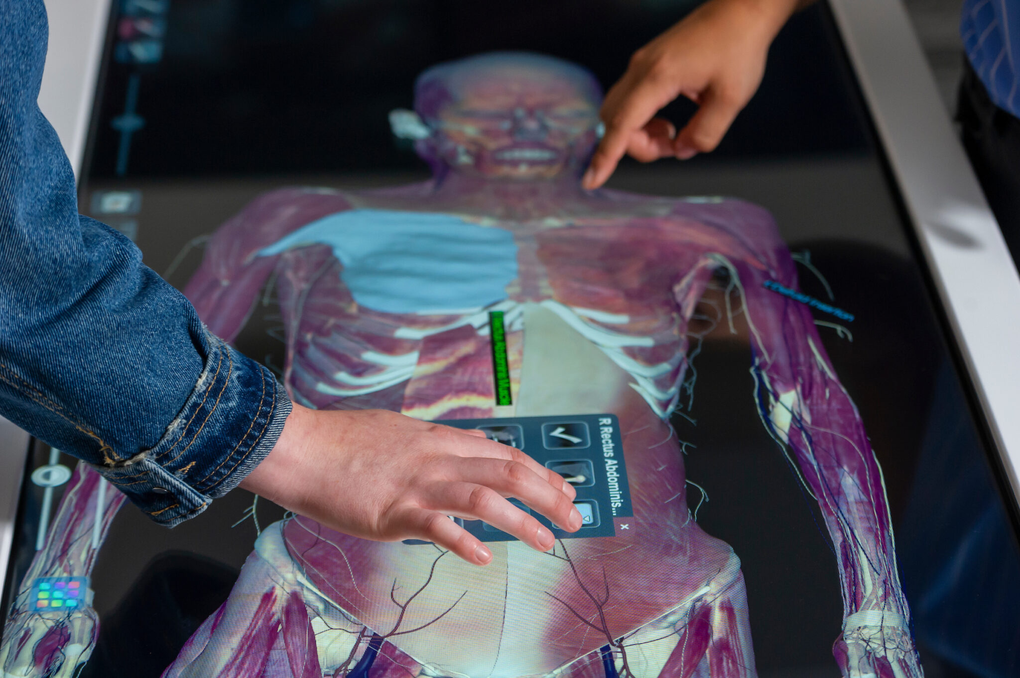 Saint Francis to host Anatomage Tournament for high school teams ...